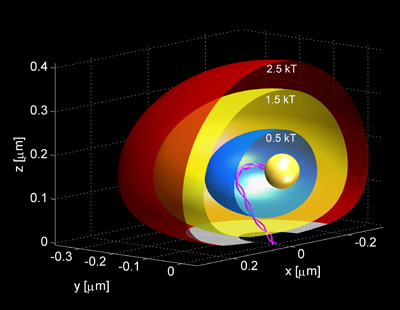 3D Tethered Particle Motion (TPM) for DNA-Protein Interactions Study ...